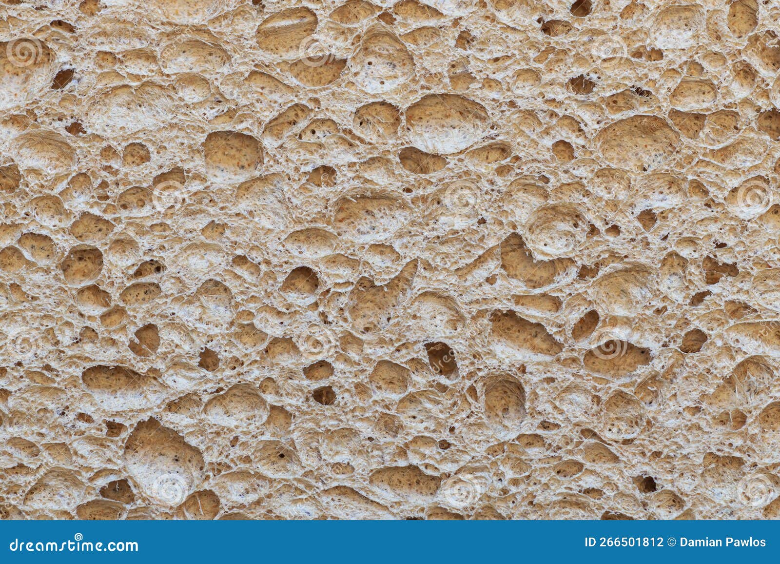 A Closeup of Cellulose Sponge Texture Details Stock Photo - Image of ...