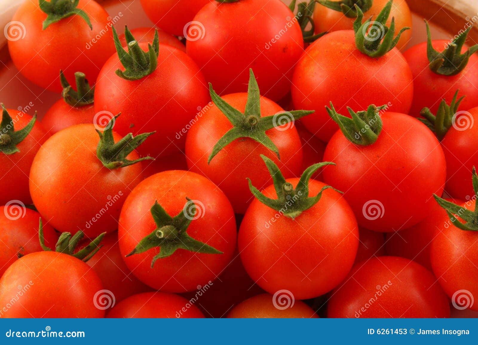 Closeup of Cherry Tomatoes with Green Stems Stock Image - Image of ... Closeup of Cherry Tomatoes with Green Stems Stock Image - Image of ...