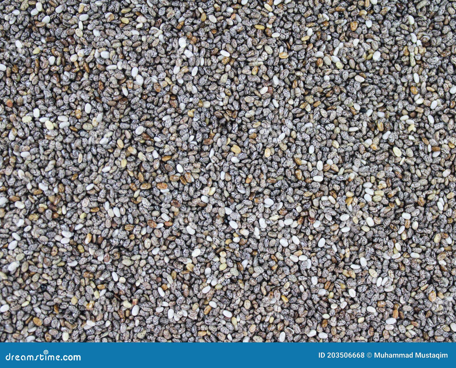 Closeup chia see stock photo. Image of organic, fiber - 203506668