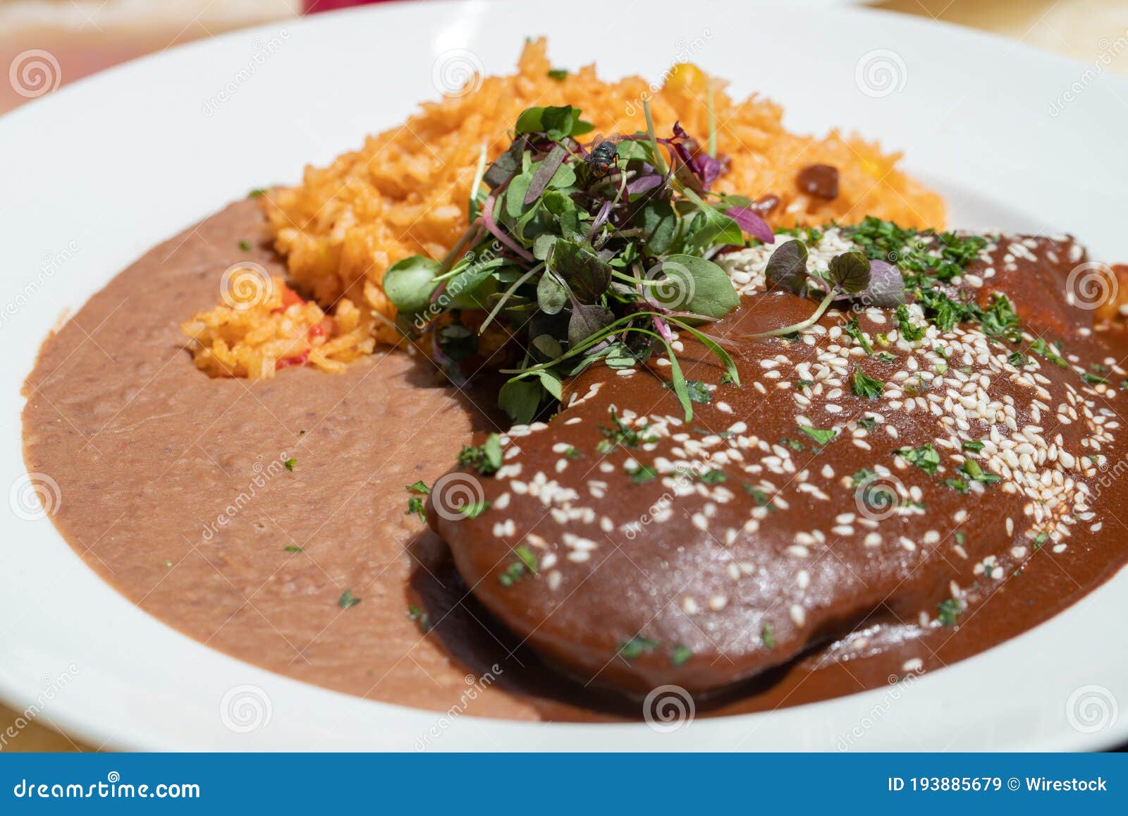Closeup of Chicken Mole with Rice, Herbs in a Plate Stock Image - Image ...