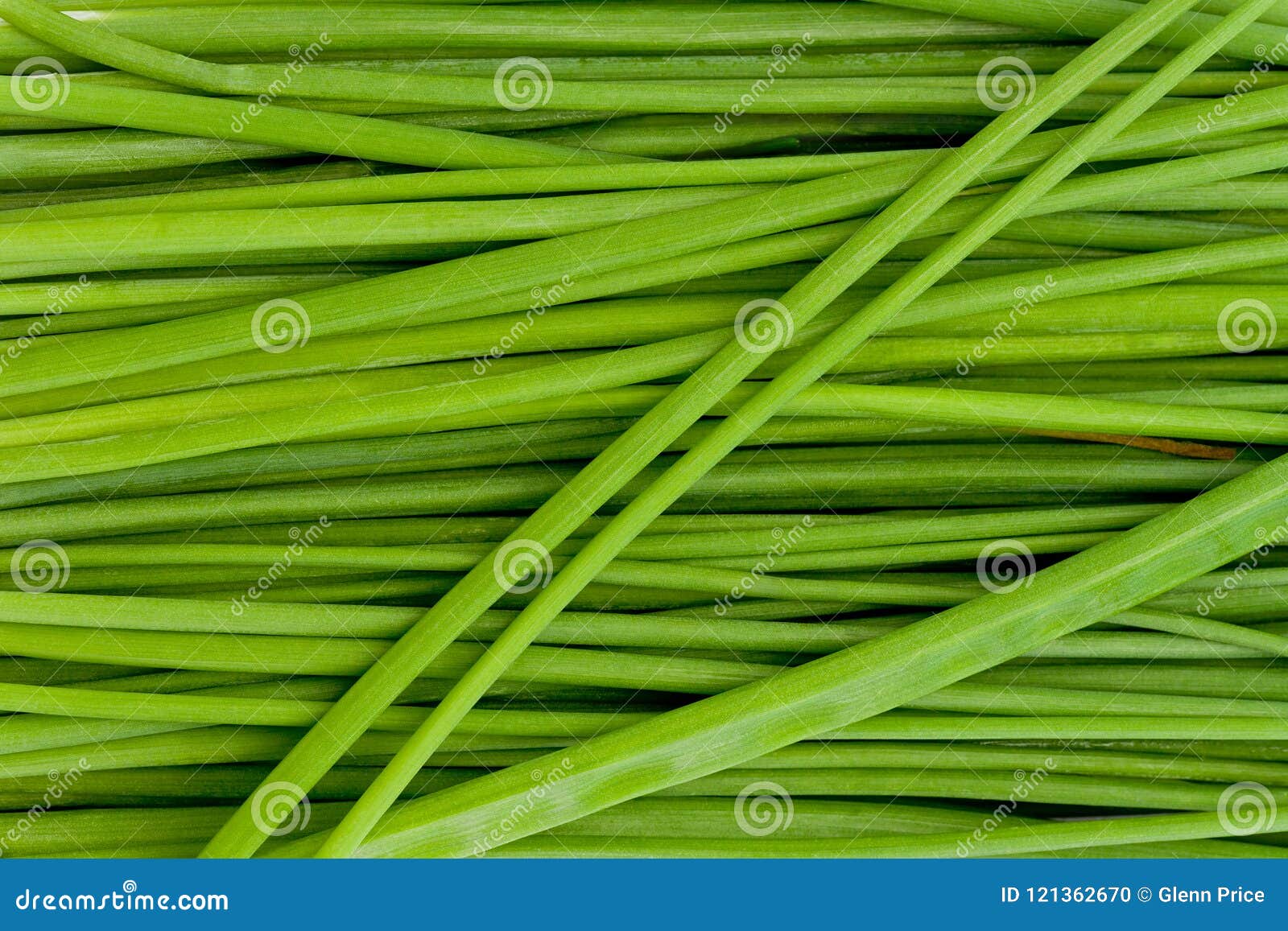 Closeup of Chives stock photo. Image of green, flavor - 121362670