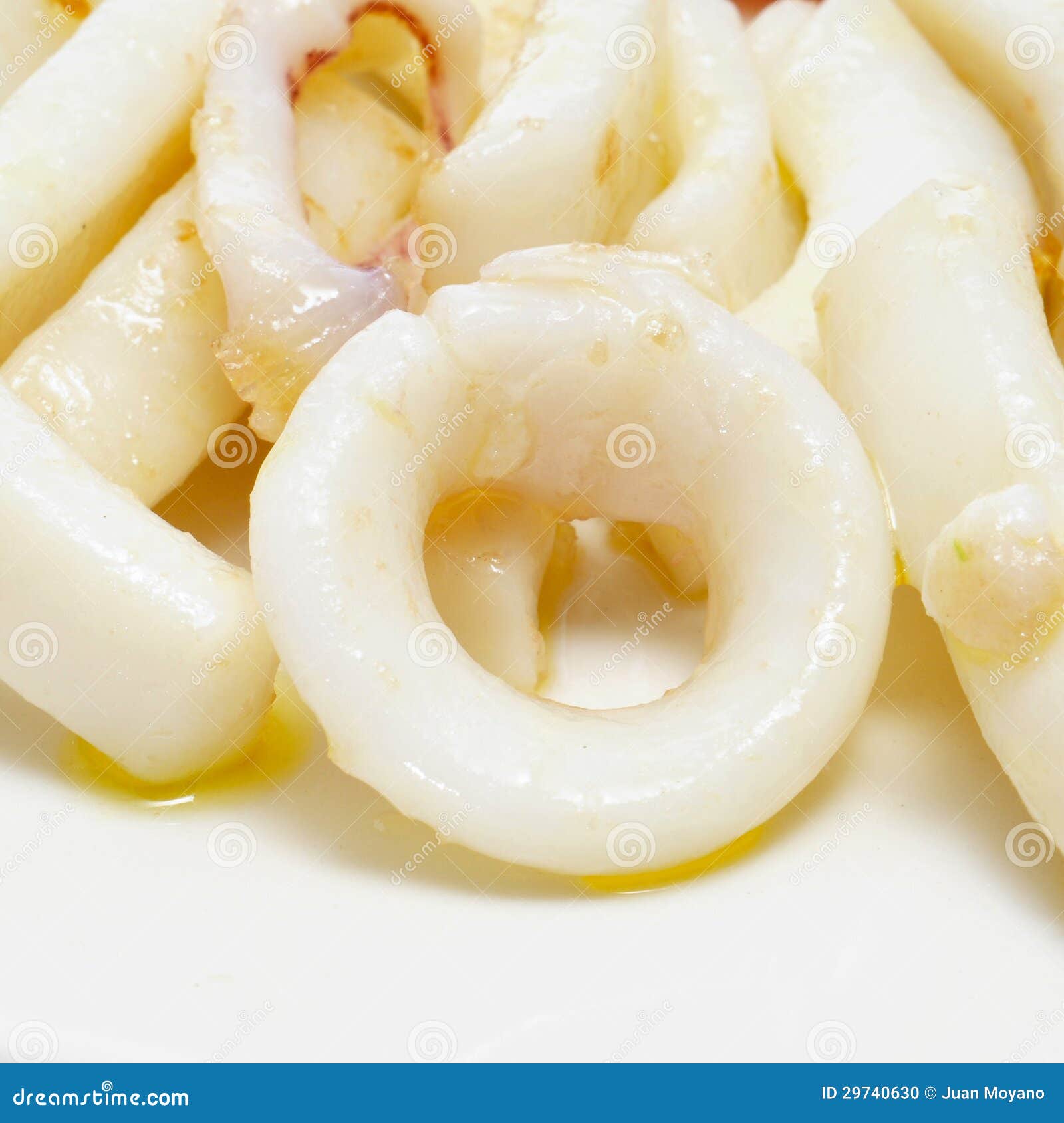 Chopped squid stock photo. Image of dieting, kitchen - 29740630
