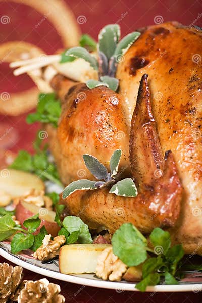 Closeup of Christmas Turkey on Dinner Table Stock Photo - Image of cook ...