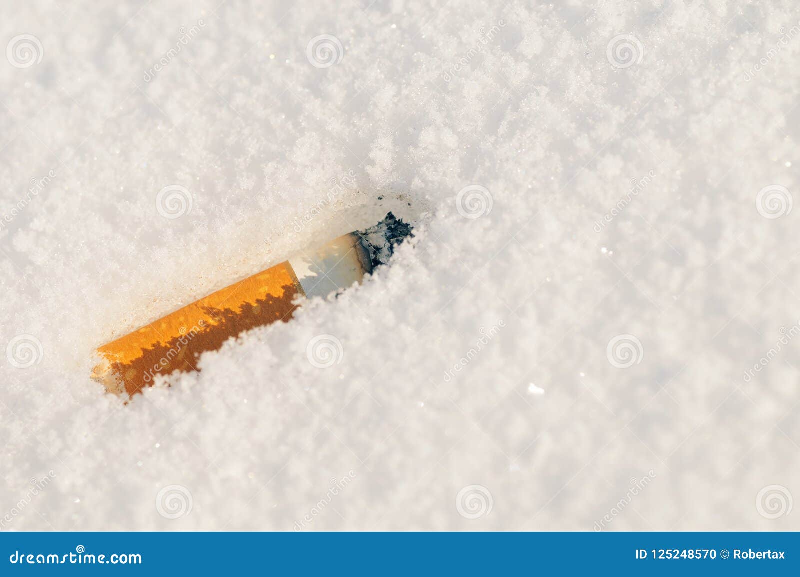 Closeup of Cigarette Stub with Filter in the Snow Stock Photo - Image ...