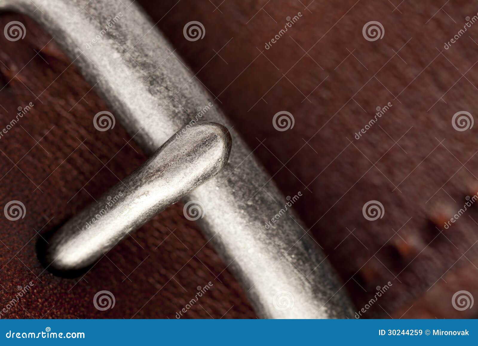 Closeup of Clasp Belt Detail Stock Image - Image of leather, silver ...