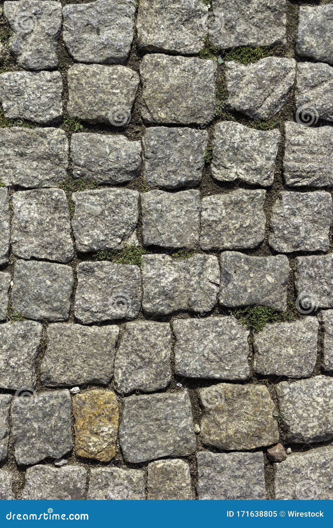 Closeup of a Cobblestone Road Under the Sunlight - a Nice Picture for ...