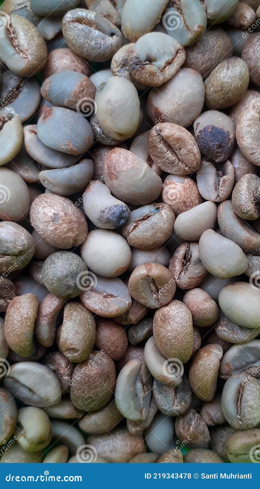 Closeup Coffee Beans before Roasting, Natural Coffee Beans Stock Photo ...