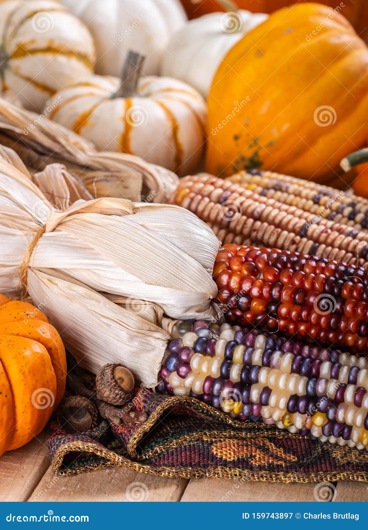 Fall Indian Corn and Mini Pumpkin Stock Image - Image of shallow ...
