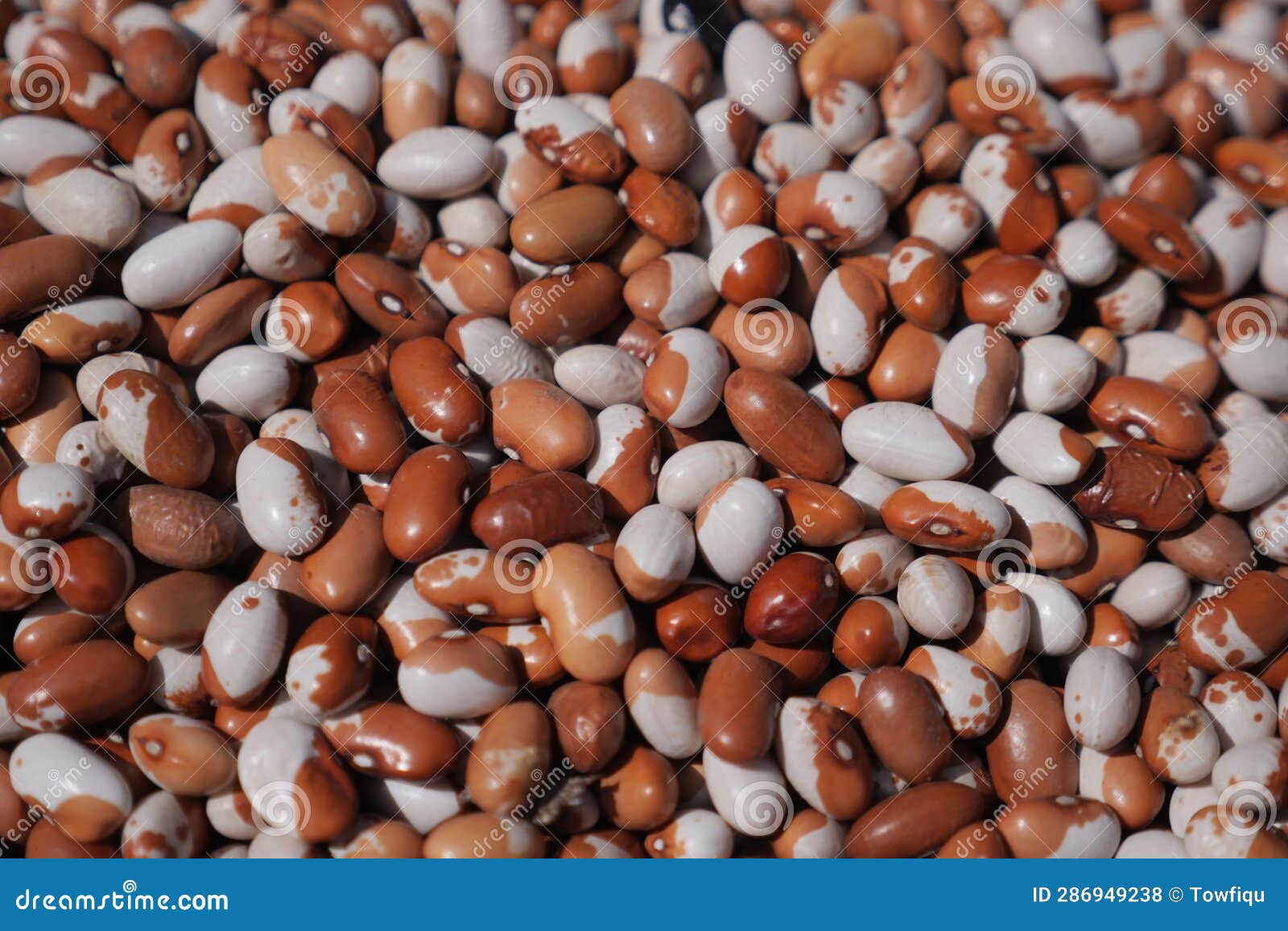 Closeup of Colourful Soy Beans Texture Background. Stock Photo - Image ...