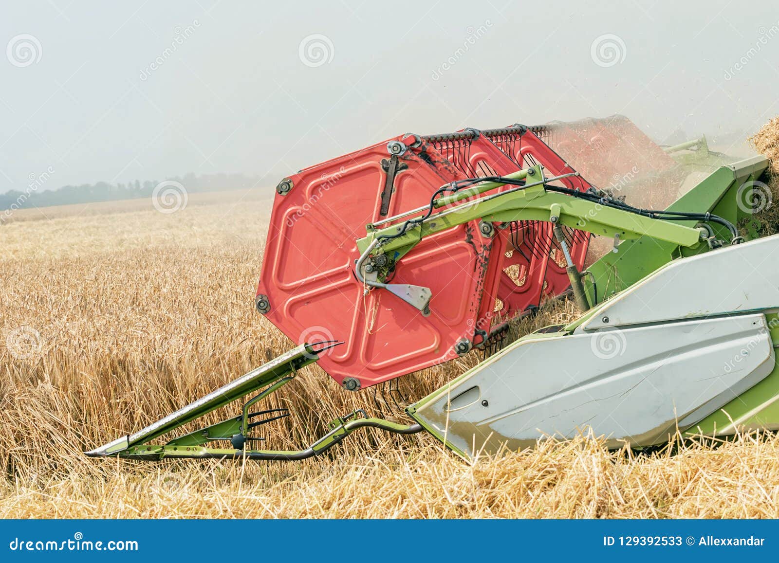 Closeup Combine Harvesting a Wheat Field. Combine Working the Field ...