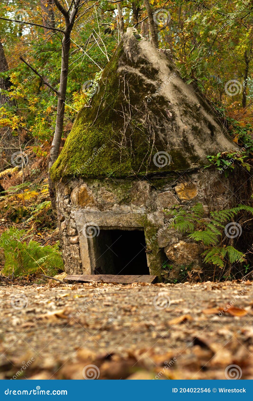 Closeup of a Cone-shaped Military Pillbox Covered with Moss, an Old ...