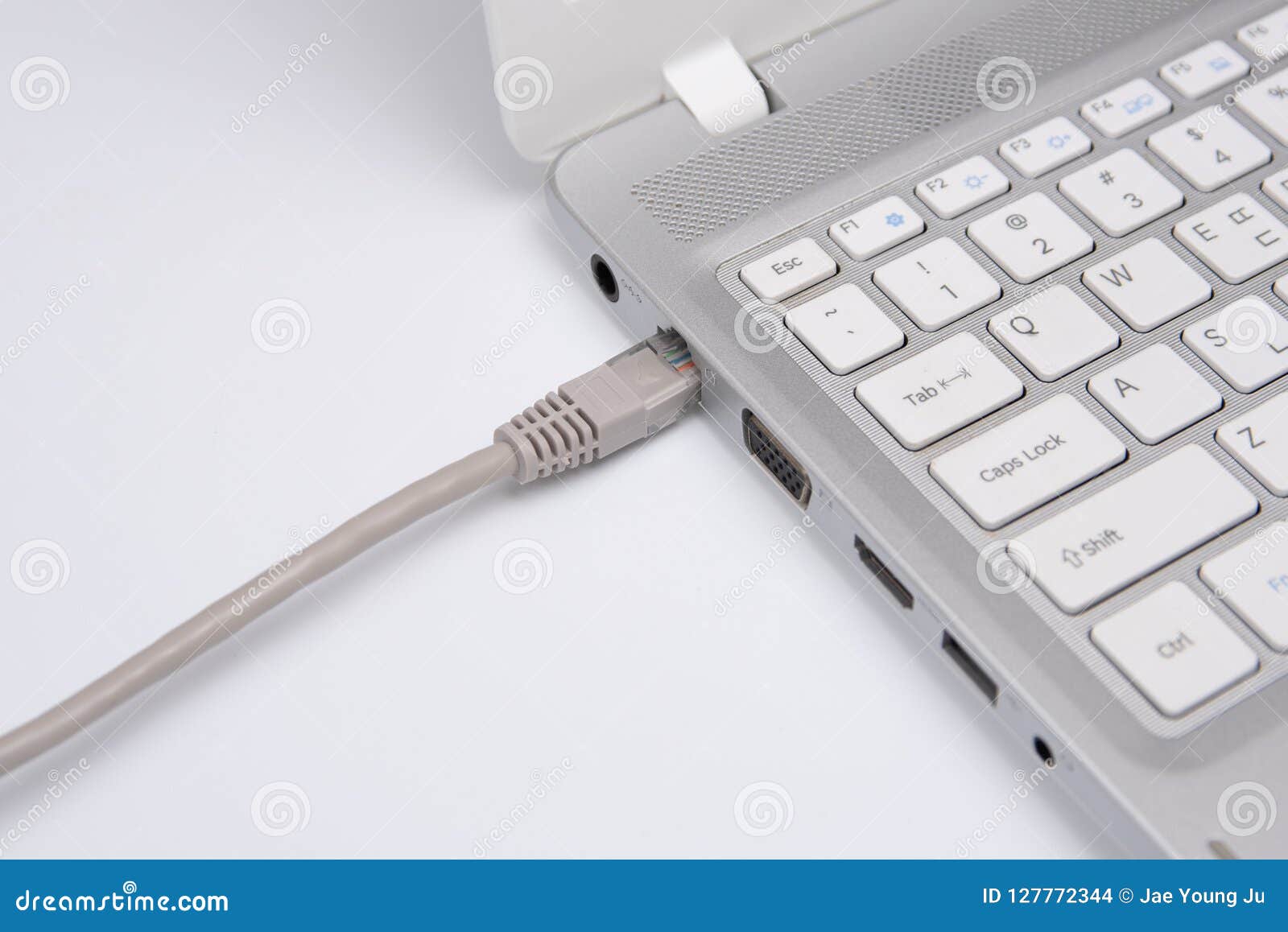 Closeup Connection Cable Network Connection To a Lan Port of a Laptop ...