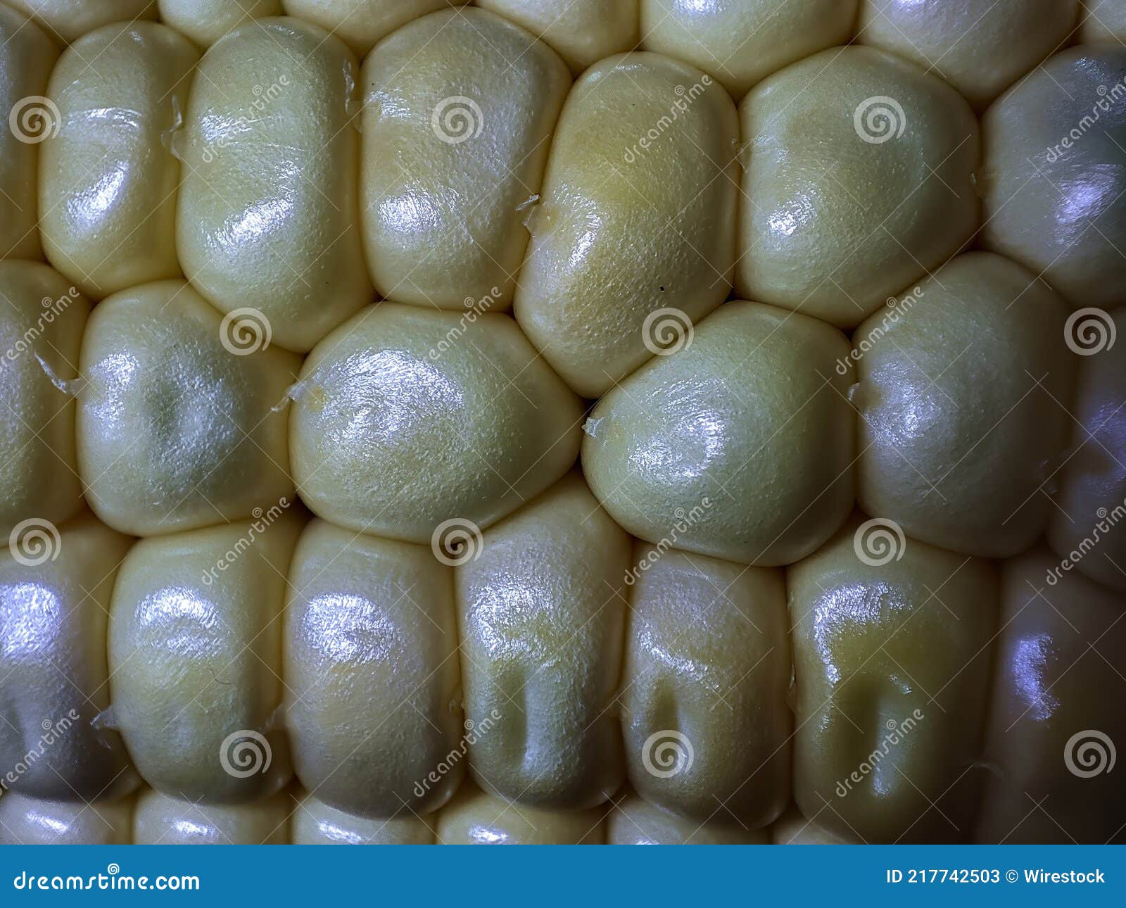 Closeup of Corn Kernels on a Maize Stock Image - Image of maize ...
