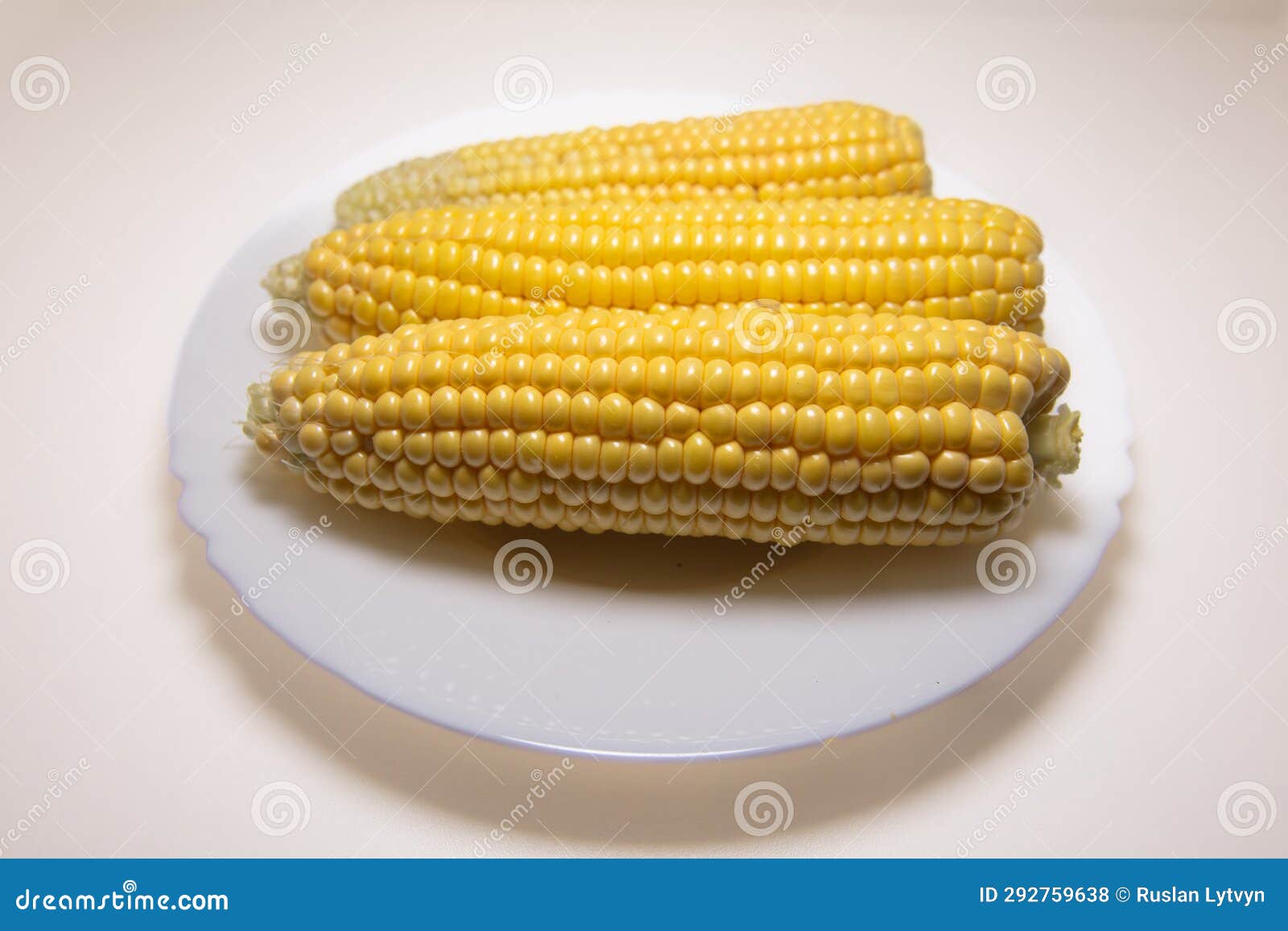 Closeup of Corn Kernels on Plate Isolated Stock Photo - Image of farm ...
