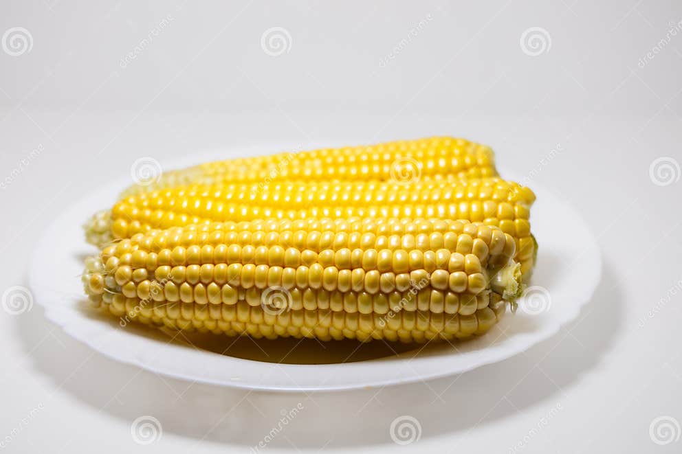 Closeup of Corn Kernels on Plate Isolated Stock Image - Image of grain ...