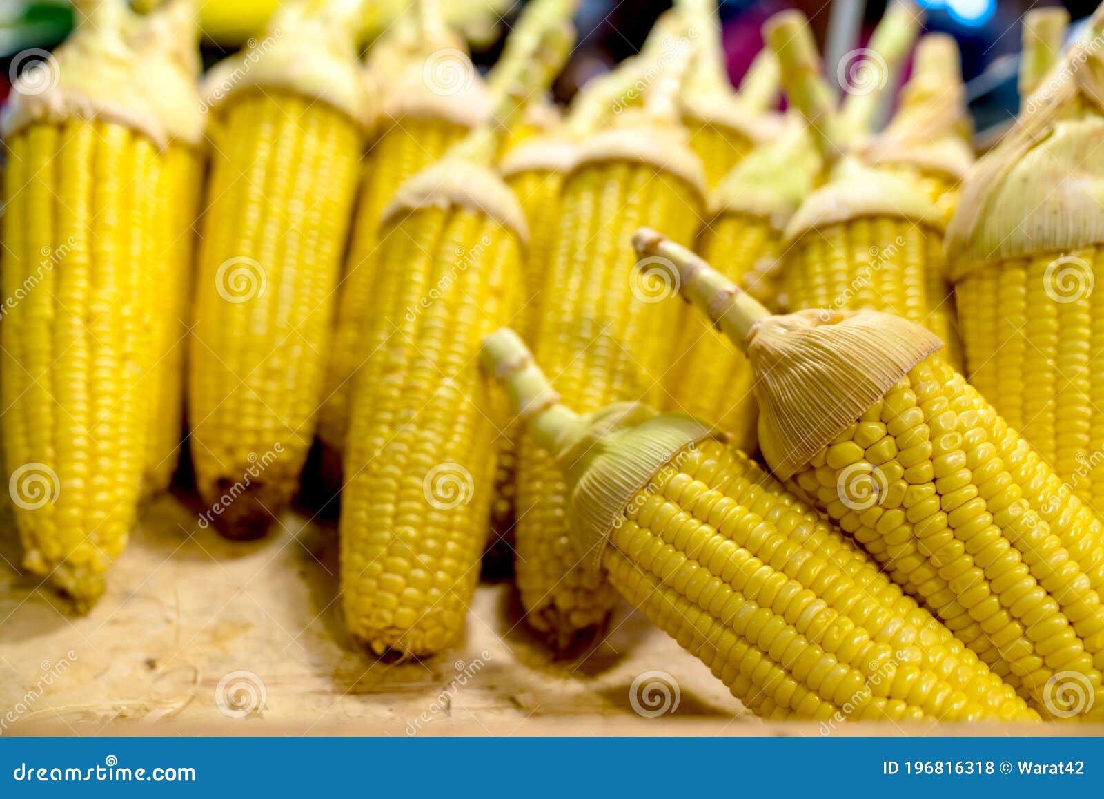 Closeup Corn Head Smut Fungus Disease On Ears Of Rotting Corn In Farm ...
