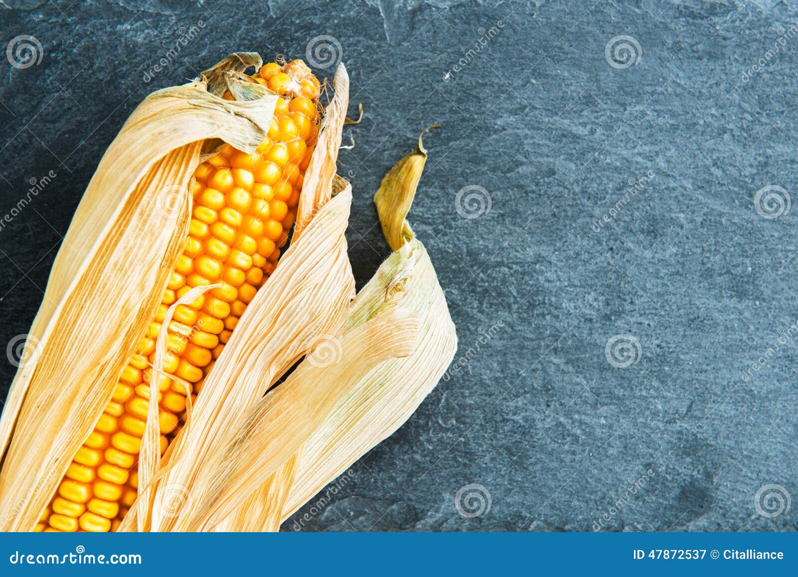 Closeup on Corncob on Stone Substrate Stock Image - Image of fresh ...