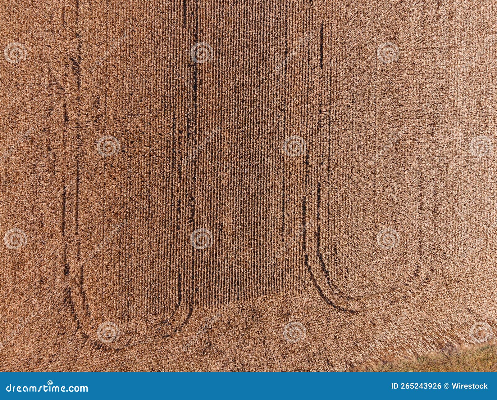 Closeup of a Cream Surface for Overlays and Textures Stock Photo ...