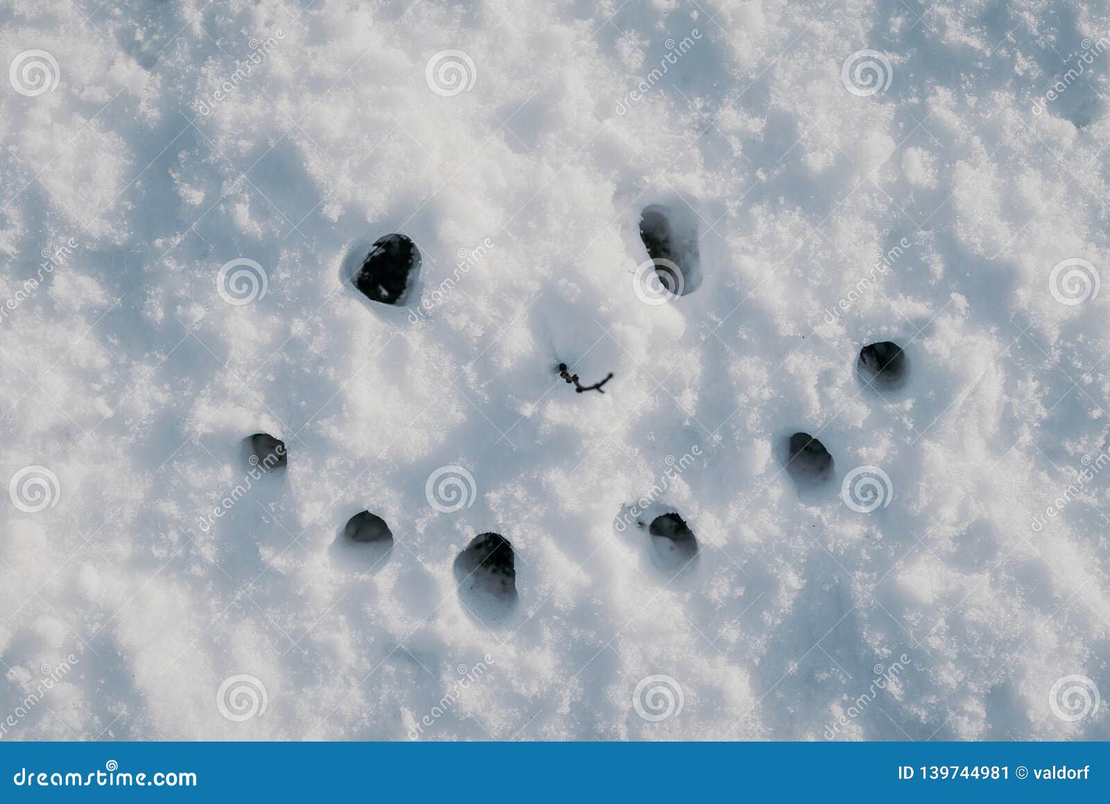 Snowman Face Made in Snow stock image. Image of remote - 139744981