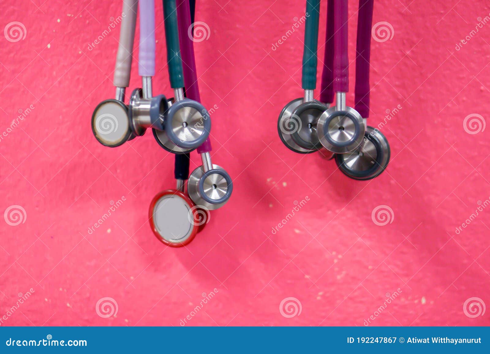 Closeup and Crop of Doctor Stethoscopes Hanging on Pink Wall Background ...