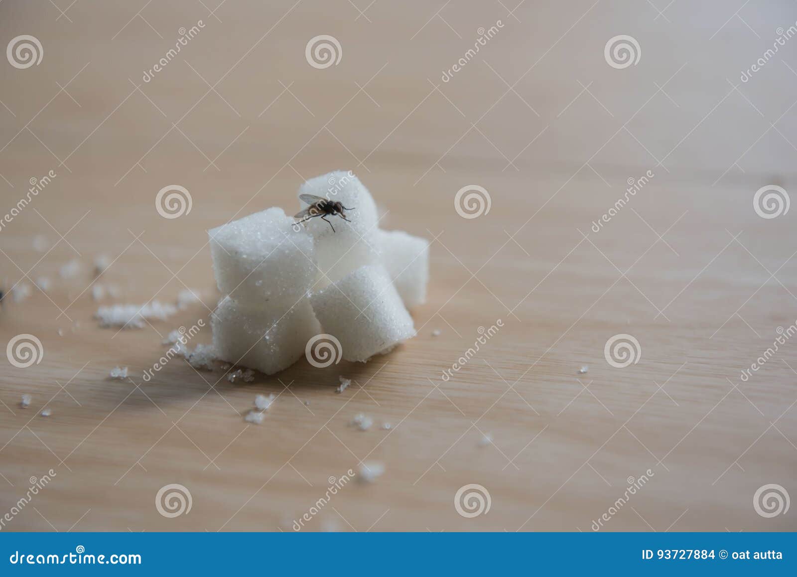 Closeup Cube Sugar and Flies on Wooden Table Stock Photo - Image of ...