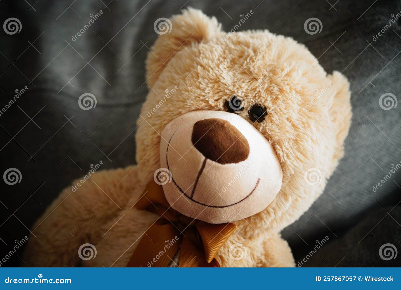 Closeup of Cute Teddy Bear Soft Plush Toy in a Room Stock Image - Image ...