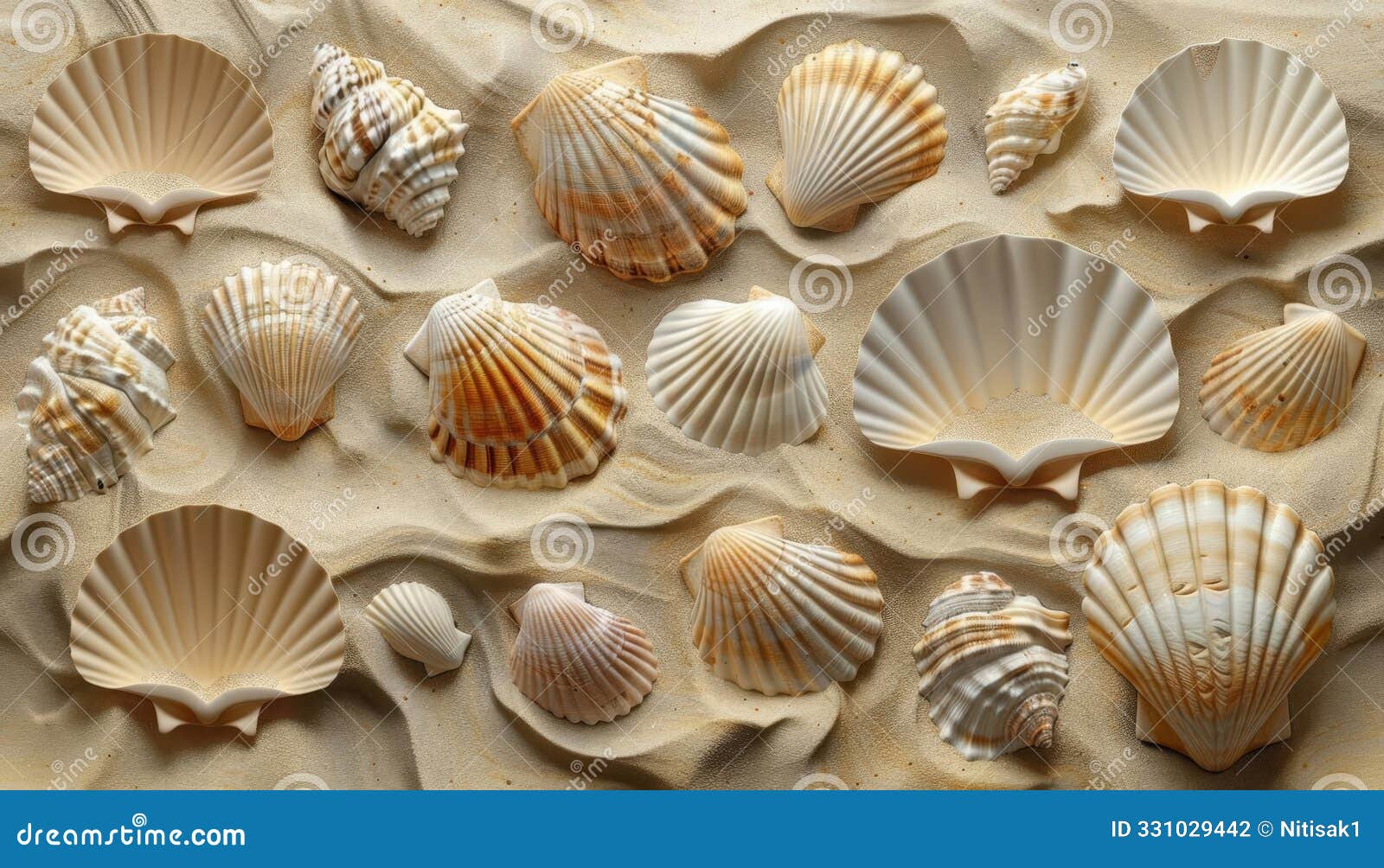 Closeup Of A 3D Model Of Seashells Arranged On A Sandy Background ...