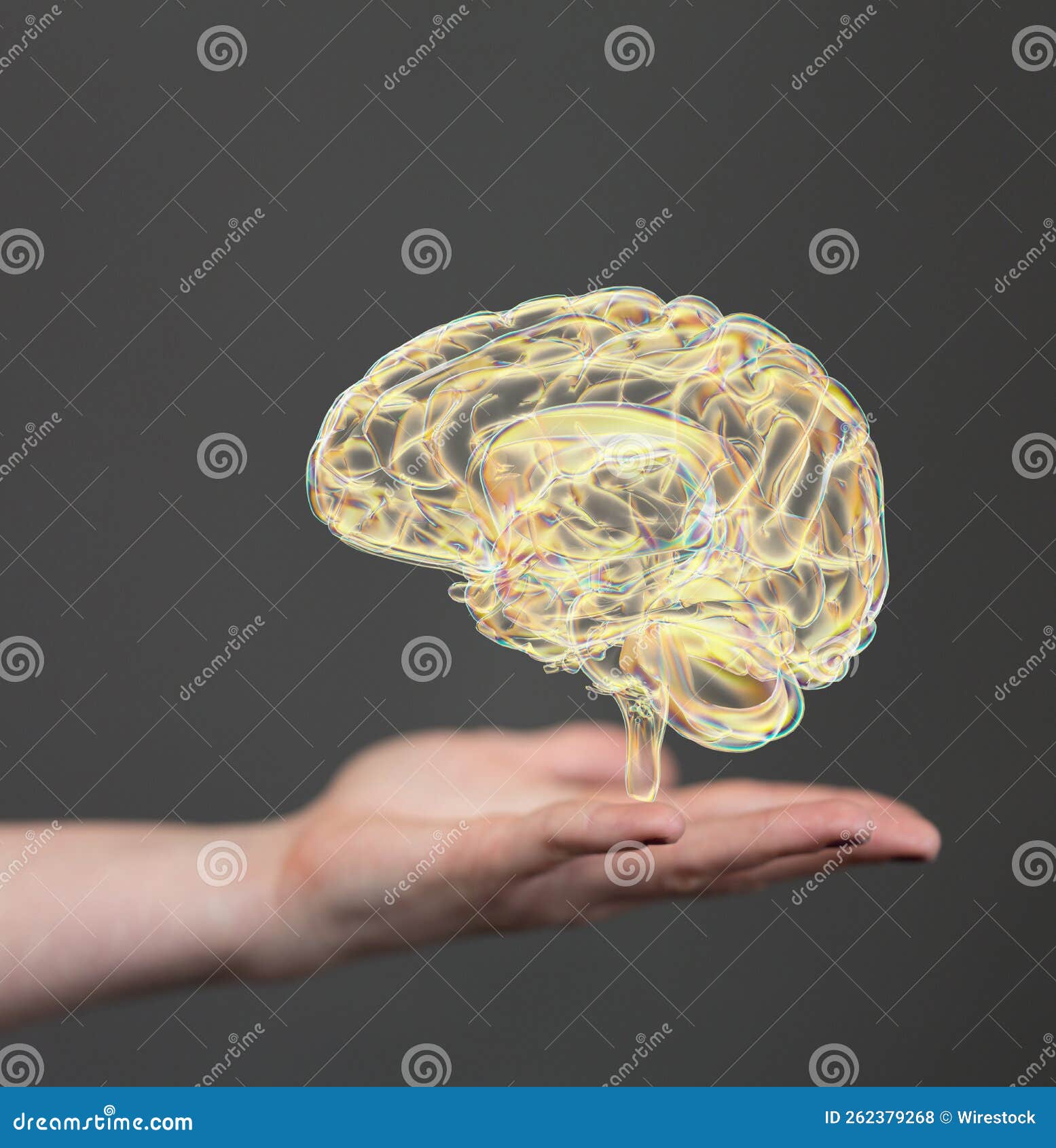 Closeup of a 3D Rendered Human Brain Hologram on a Man S Hand Stock ...