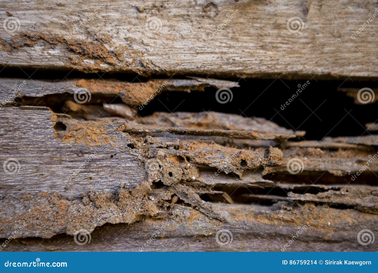 Damage Wood Texture Good For Background Stock Photo | CartoonDealer.com ...