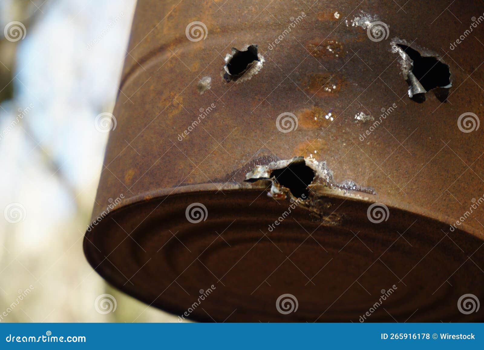 Closeup of a Damaged Rustic Metallic Bucket in a Park Stock Photo ...