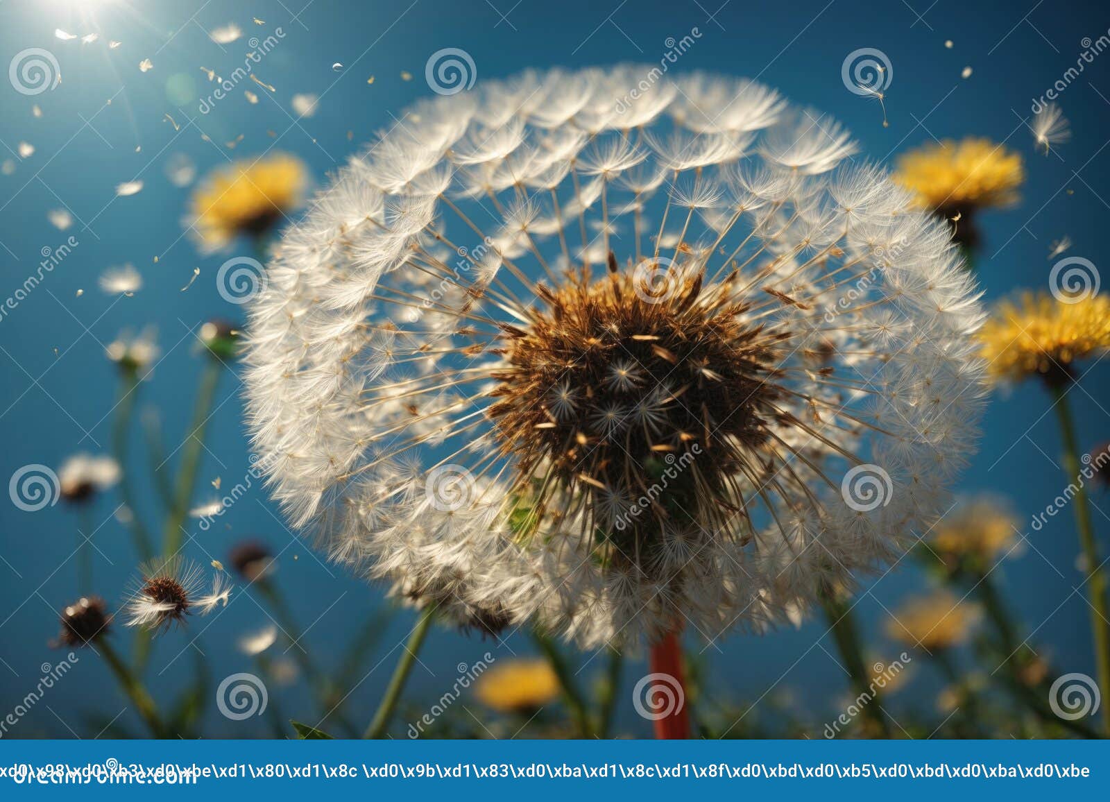 Closeup Dandelion with Seeds Blowing Away in the Wind. Ai Generative ...