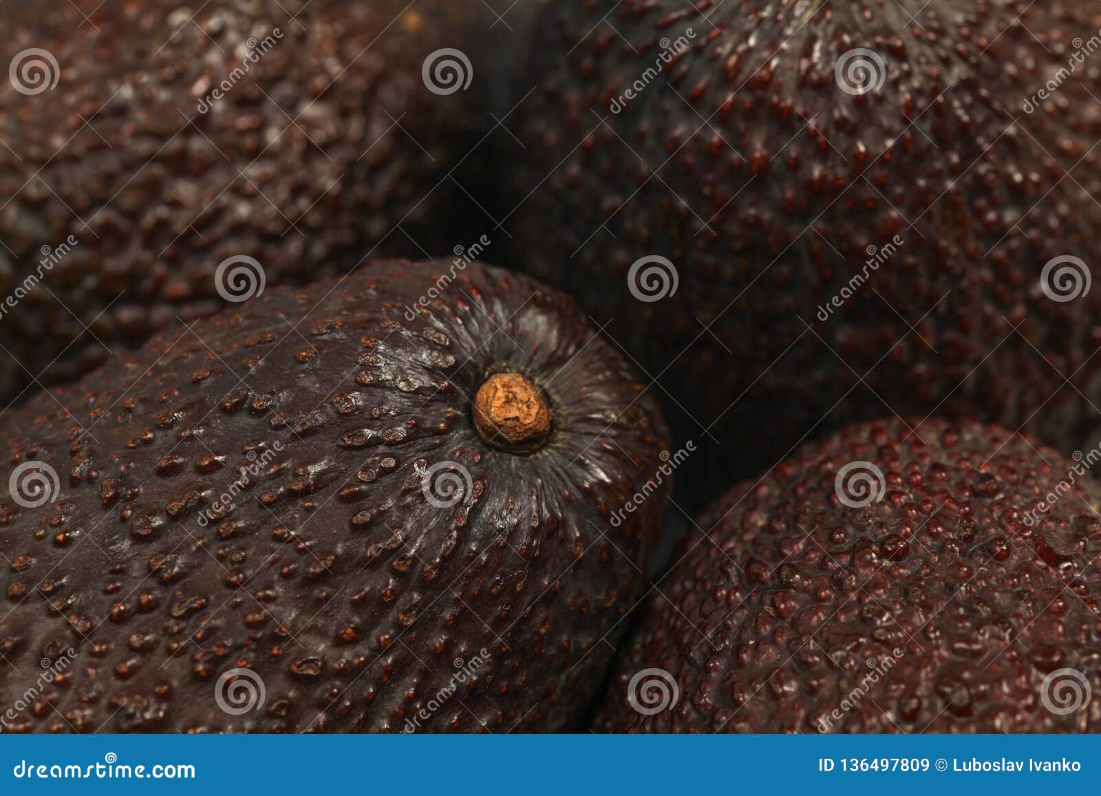 Closeup of Dark Ripe Avocado Skin Stock Image - Image of delicious ...