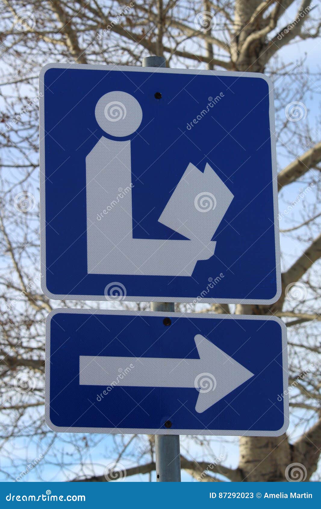 Closeup of Direction To Library Sign with Tree in Background Stock ...