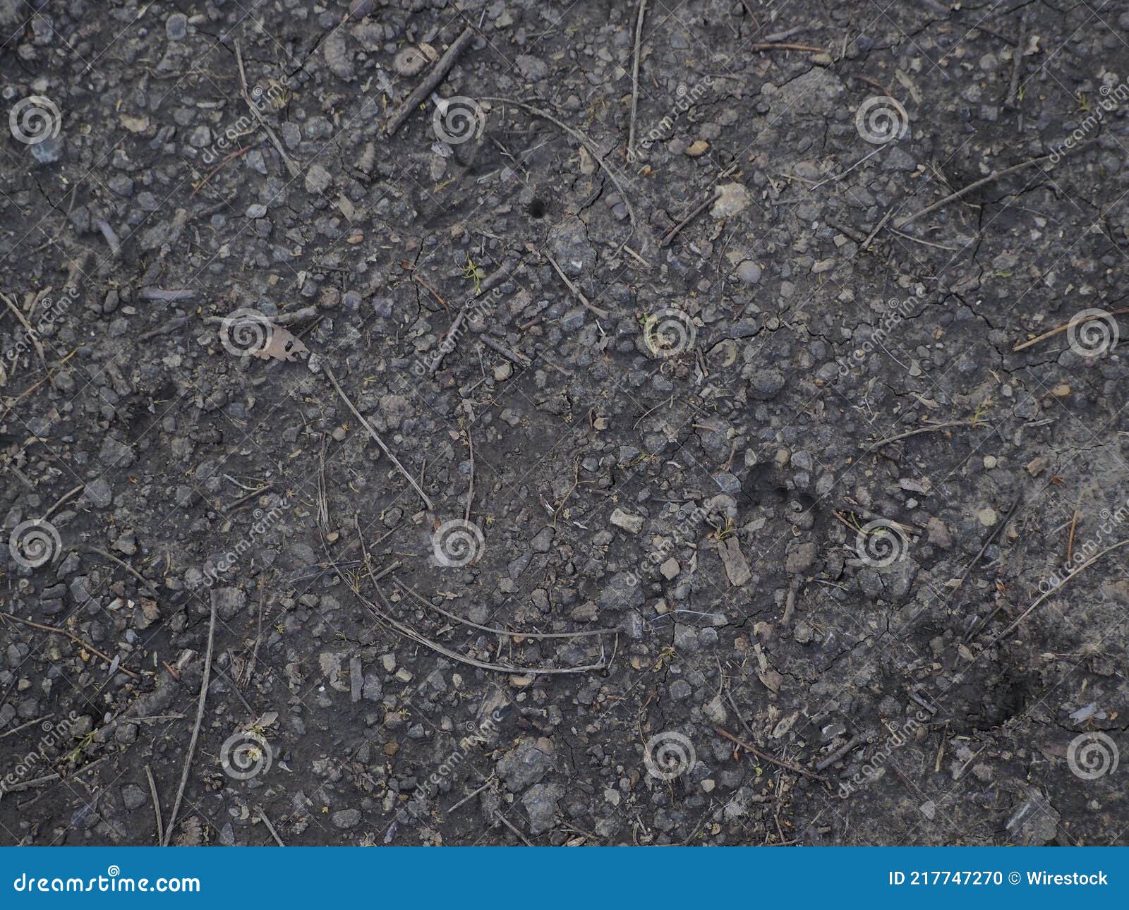 Closeup of Dirty Ground Texture Stock Photo - Image of pebble, wooden ...
