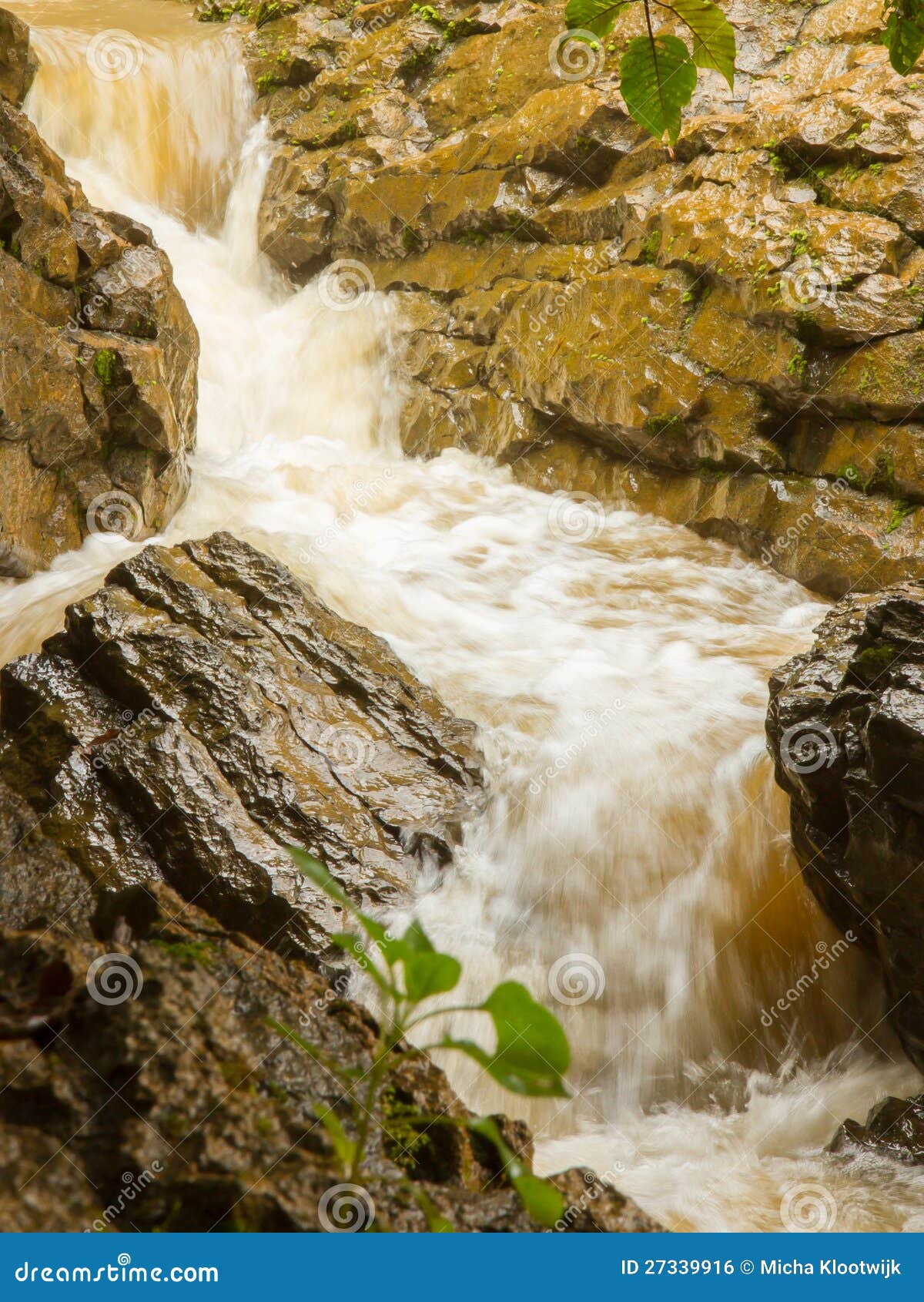 Closeup of a Dirty Waterfall Stock Photo - Image of leaf, dark: 27339916
