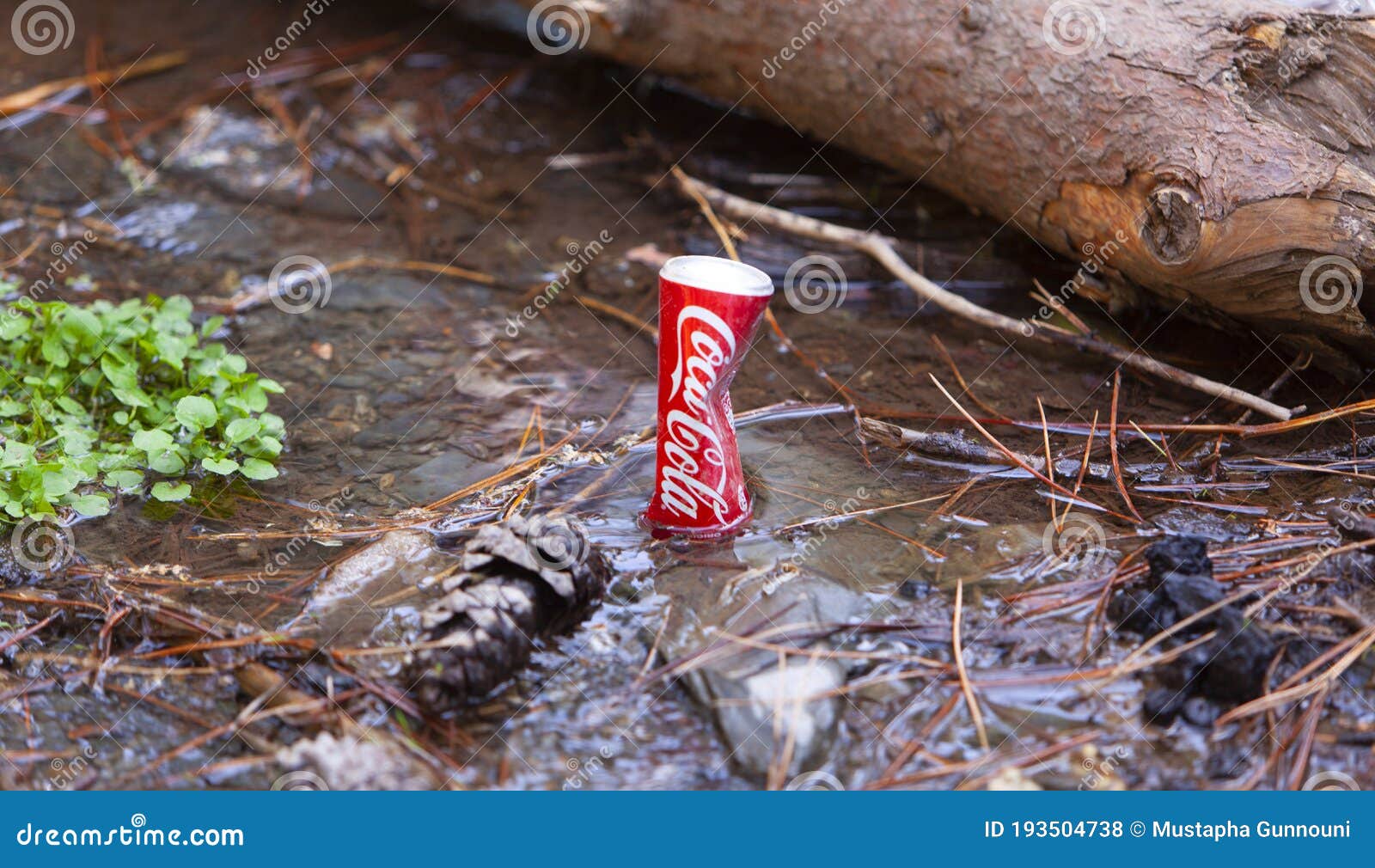 Closeup of Distorted Empty Coca-cola Can Dumped on the River. Taberrant ...