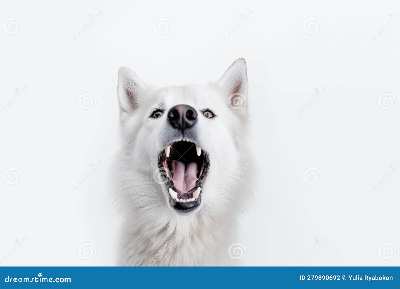 Closeup Dog Screaming Canine. Generate Ai Stock Illustration ...