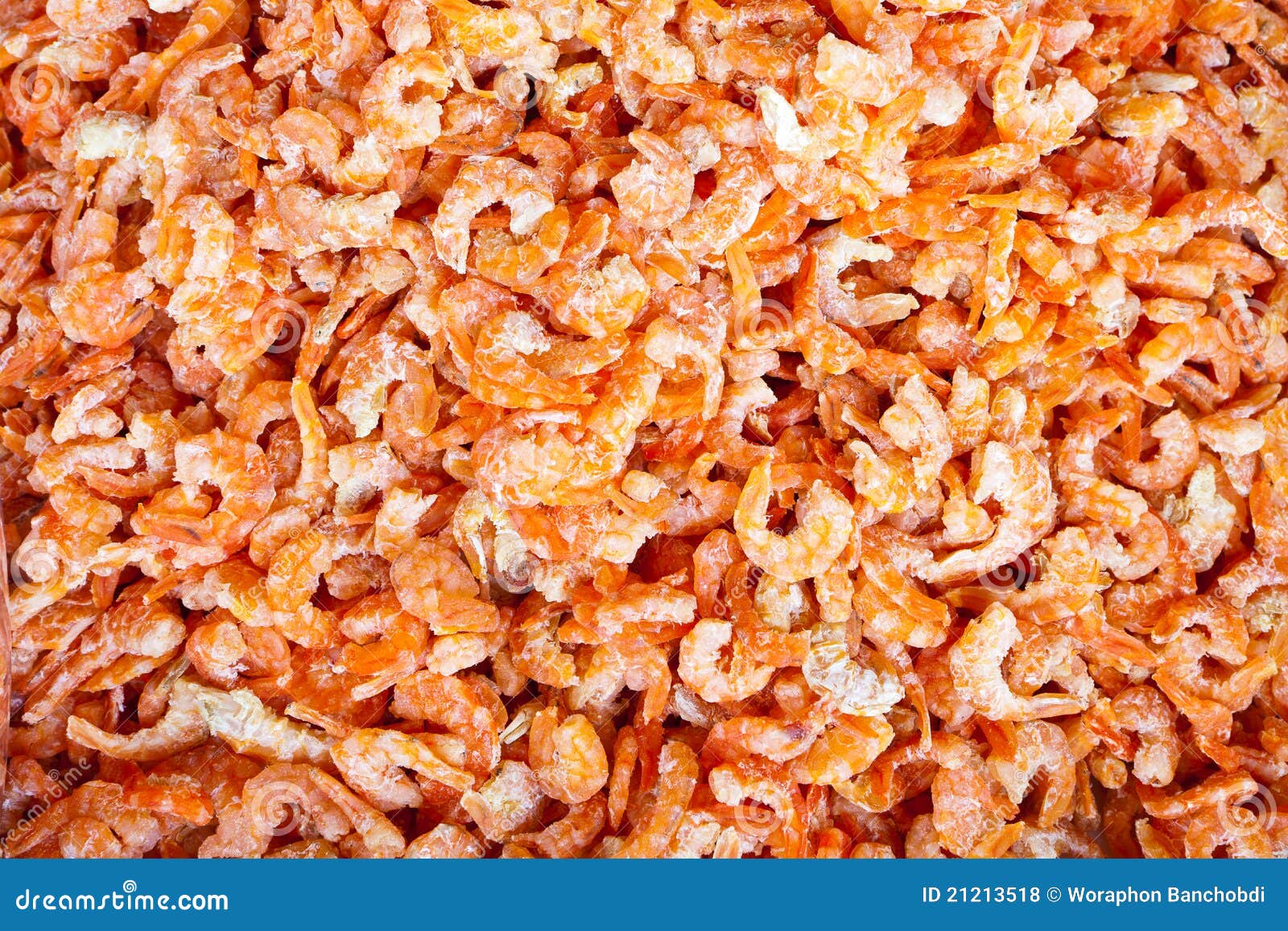 Closeup Dried Shrimp stock photo. Image of background - 21213518