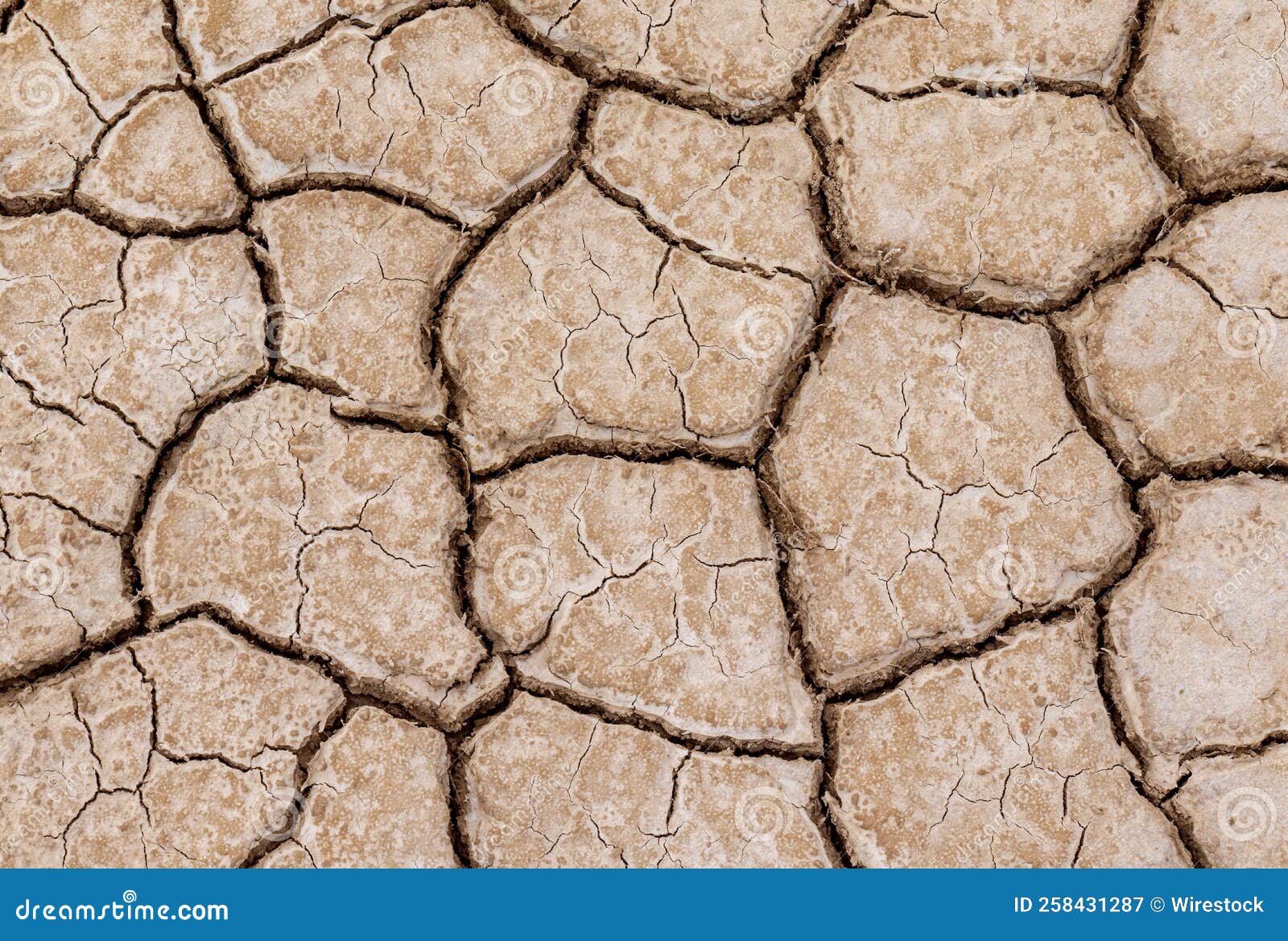 Closeup of Drought-cracked Earth Texture Stock Image - Image of closeup ...