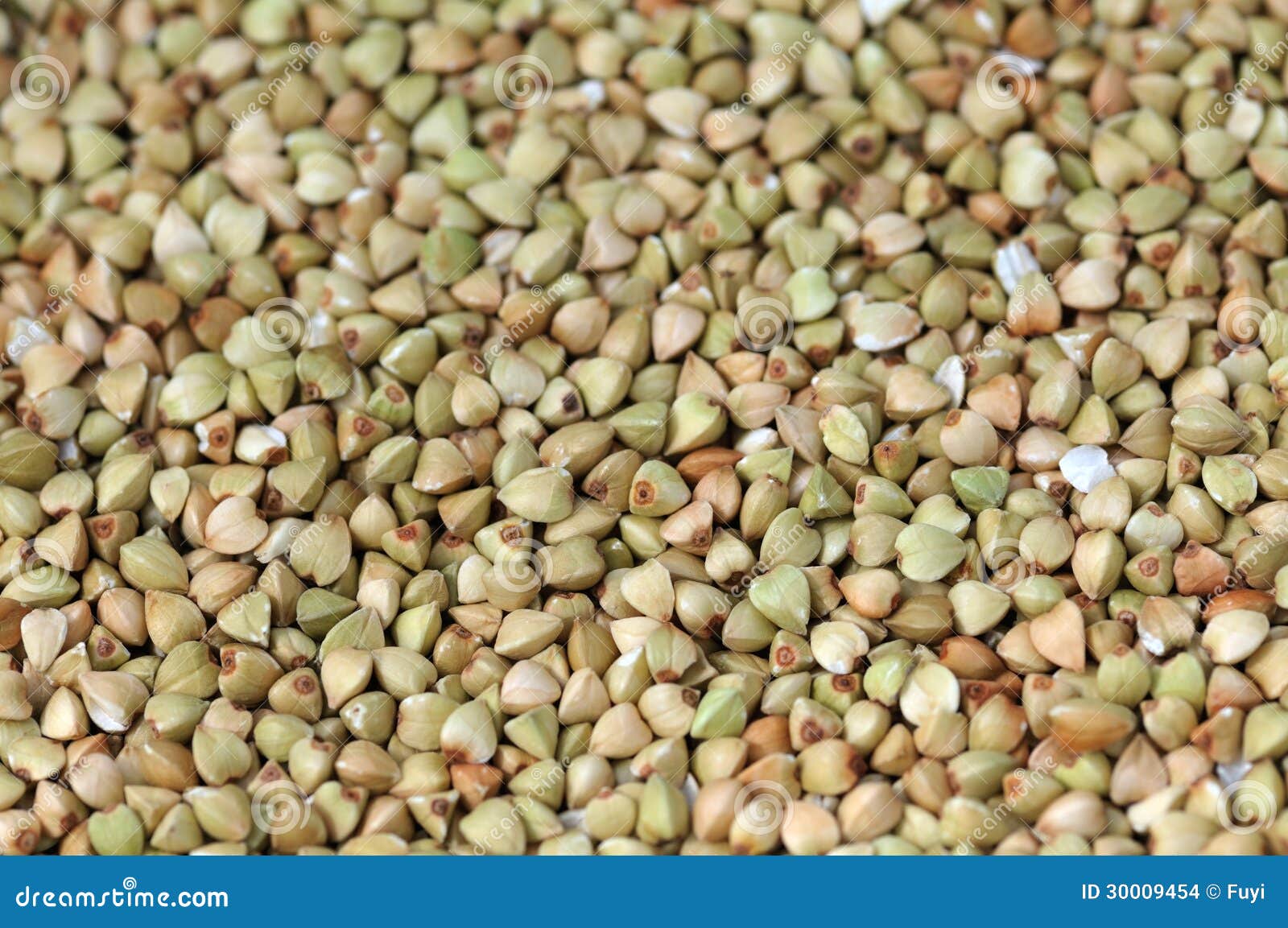Buckwheat stock photo. Image of uncooked, cereal, harvest - 30009454