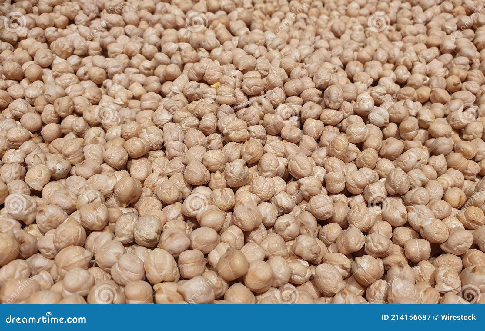 Closeup of Dry Chickpeas in a Container Under the L Stock Image - Image ...