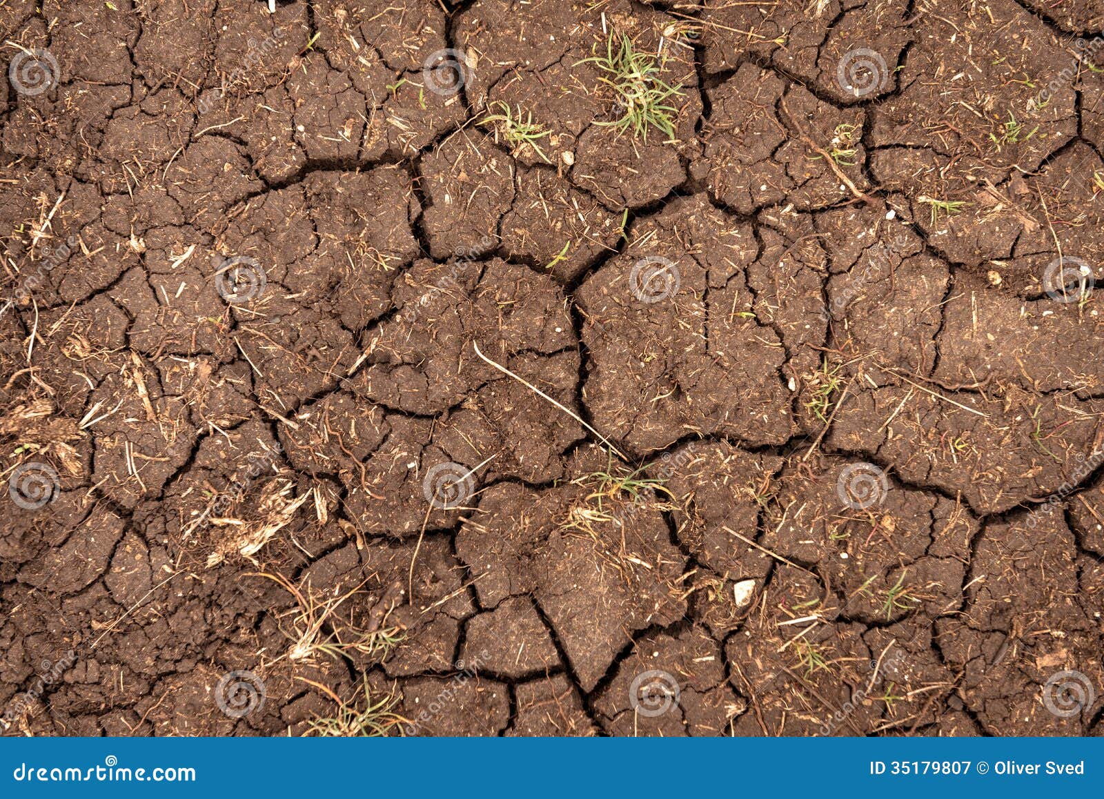 Closeup of Dry Soil Texture Stock Image - Image of drought, desert ...