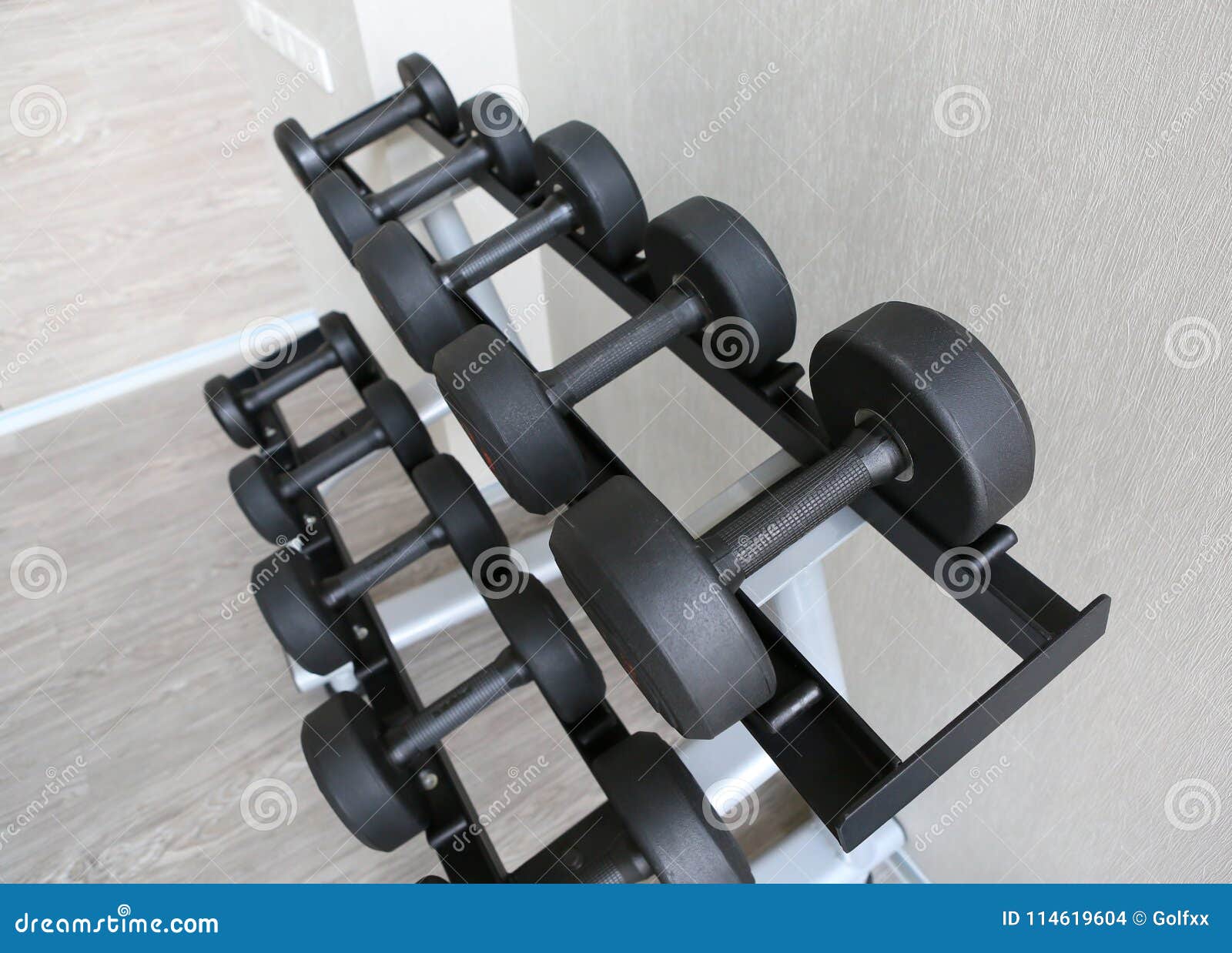 Closeup of Dumbbells in Gym Stock Photo - Image of indoor, power: 114619604