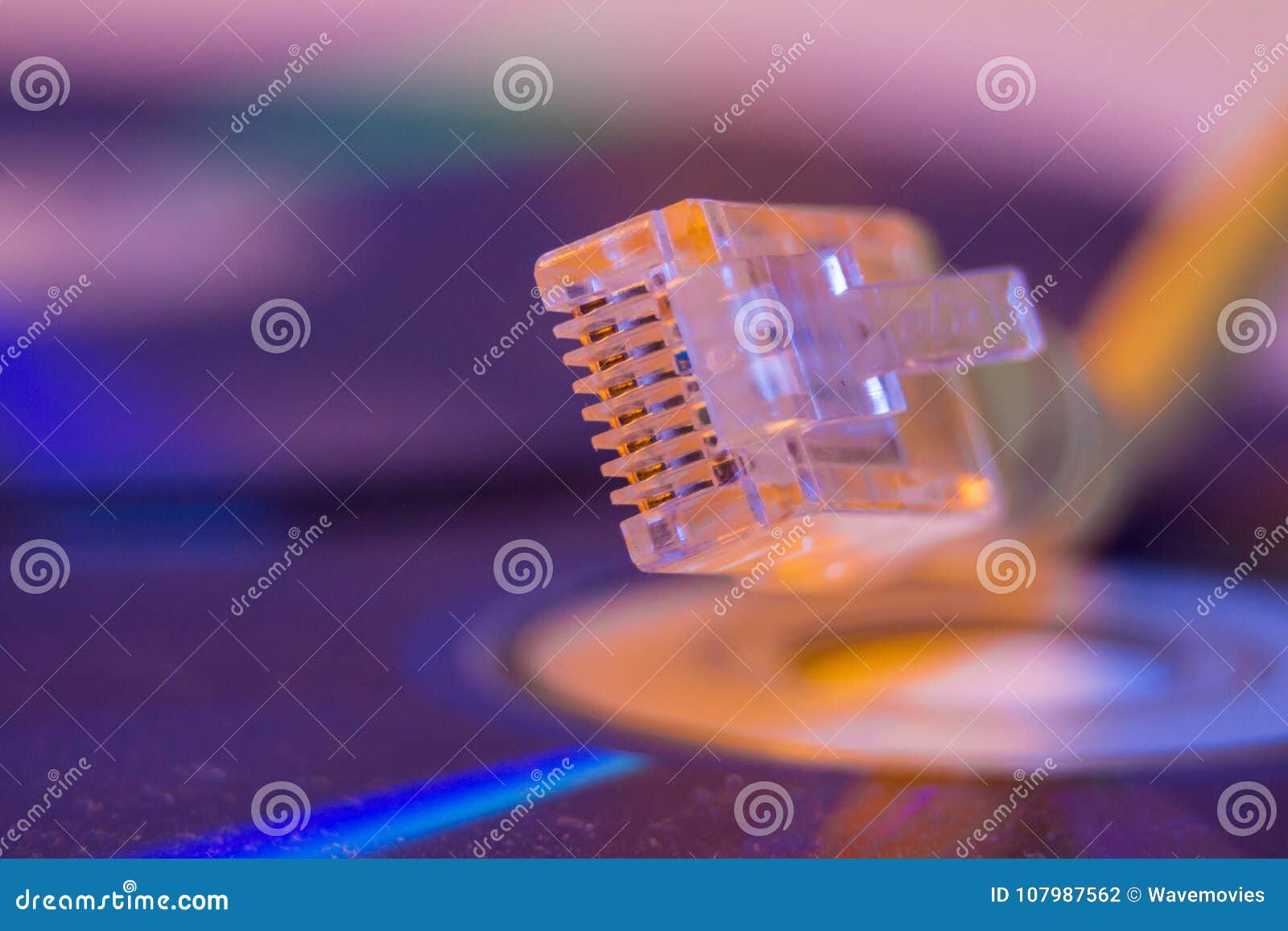 Closeup of Ethernet Cable with it`s Reflection on Blank Disc Stock ...