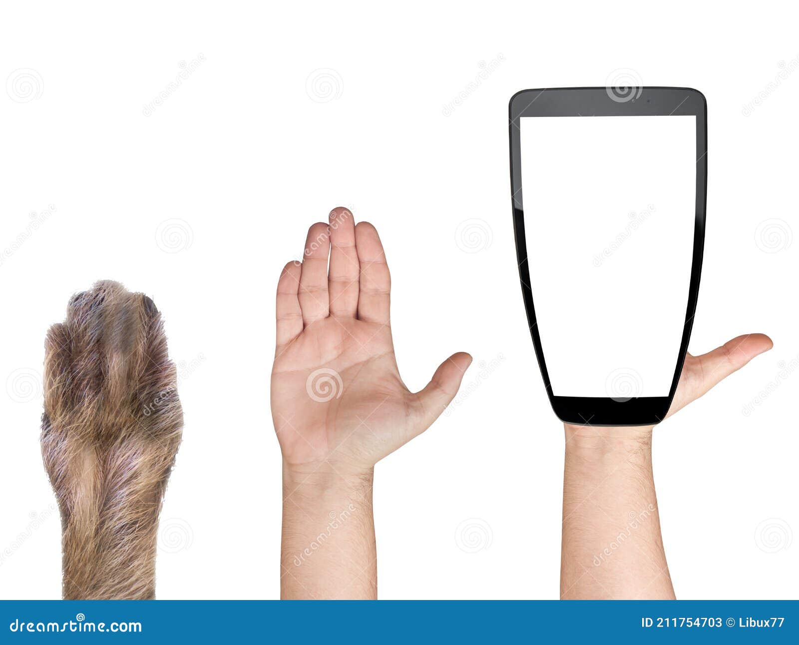 Closeup Evolution of Hand from Animal To Smartphone or Mobile Isolated ...