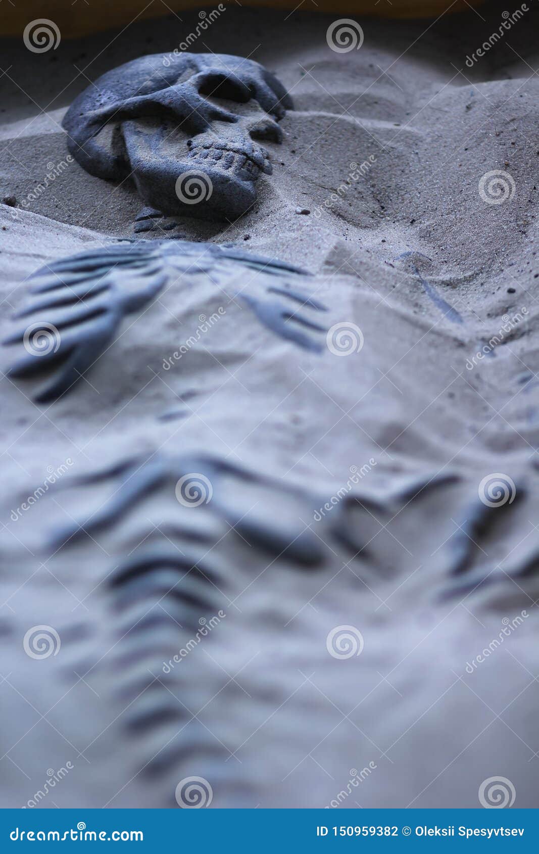 Excavated skeleton in sand stock photo. Image of fossil - 150959382