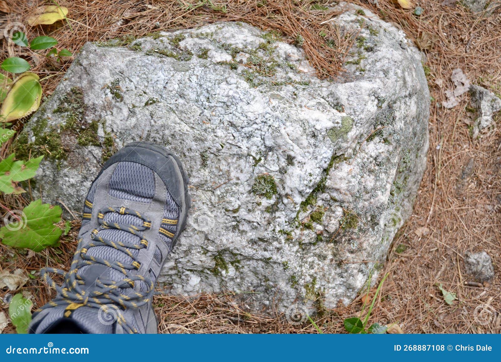 Closeup of Exposed Bedrock Along Red Pine Loop Trail at Samuel De ...