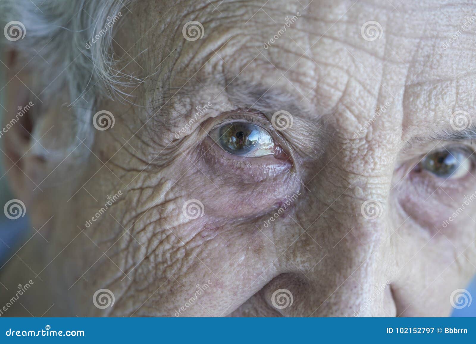 Closeup Eyes of a Senior Person Stock Image - Image of health ...