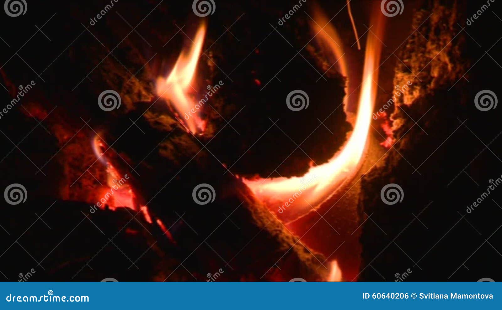 Closeup of Fading Campfire stock footage. Video of night - 60640206