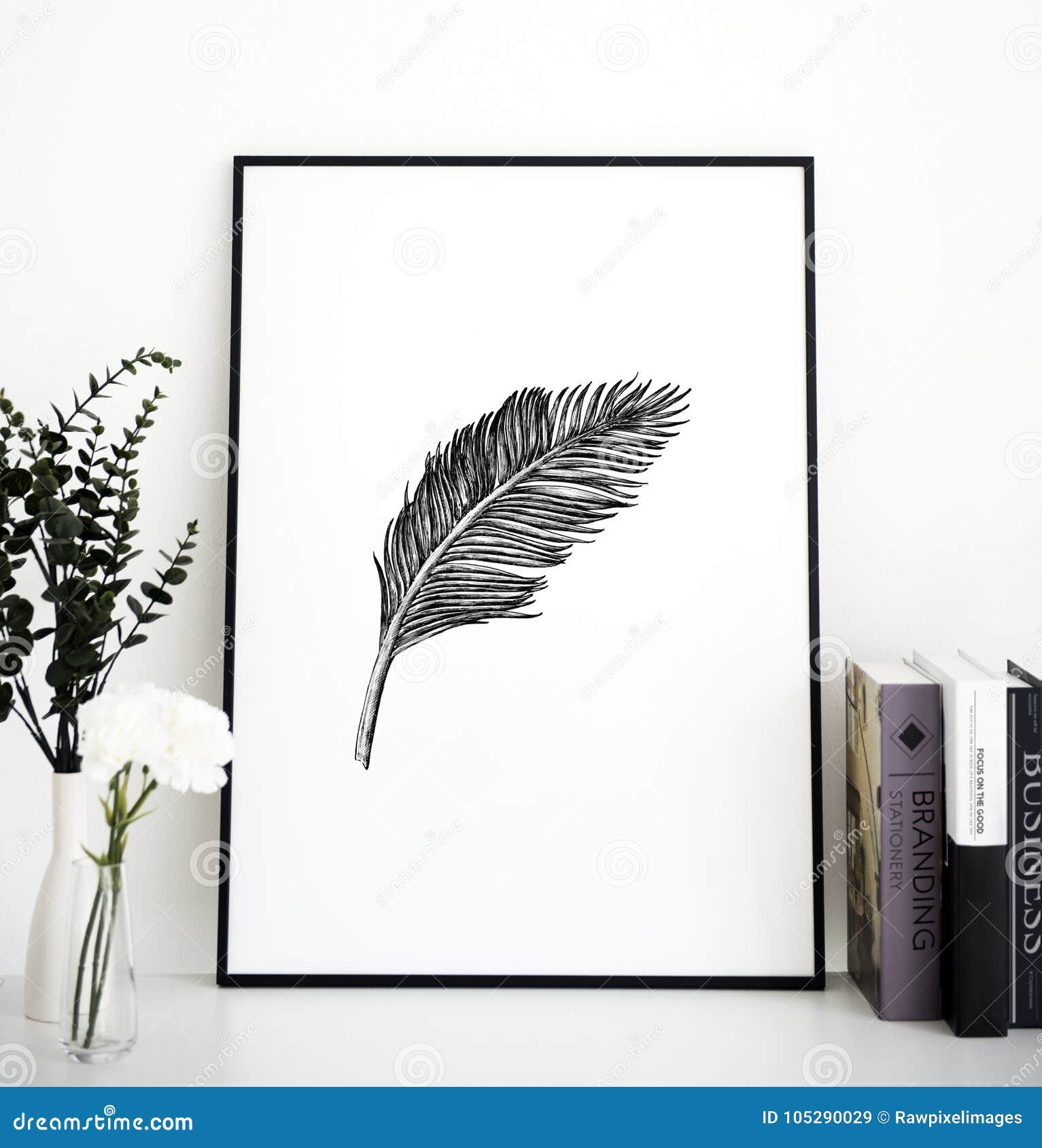 Closeup of Feather Photo Frame Stock Image - Image of frame, feather ...